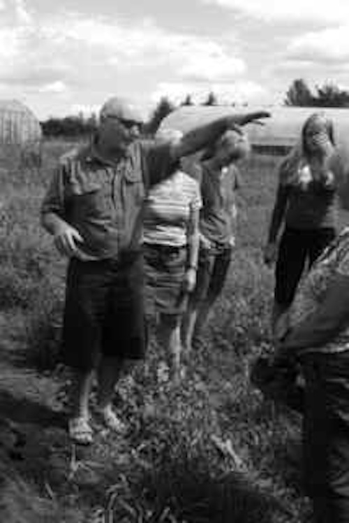 Cow with horns - Demeter Canada